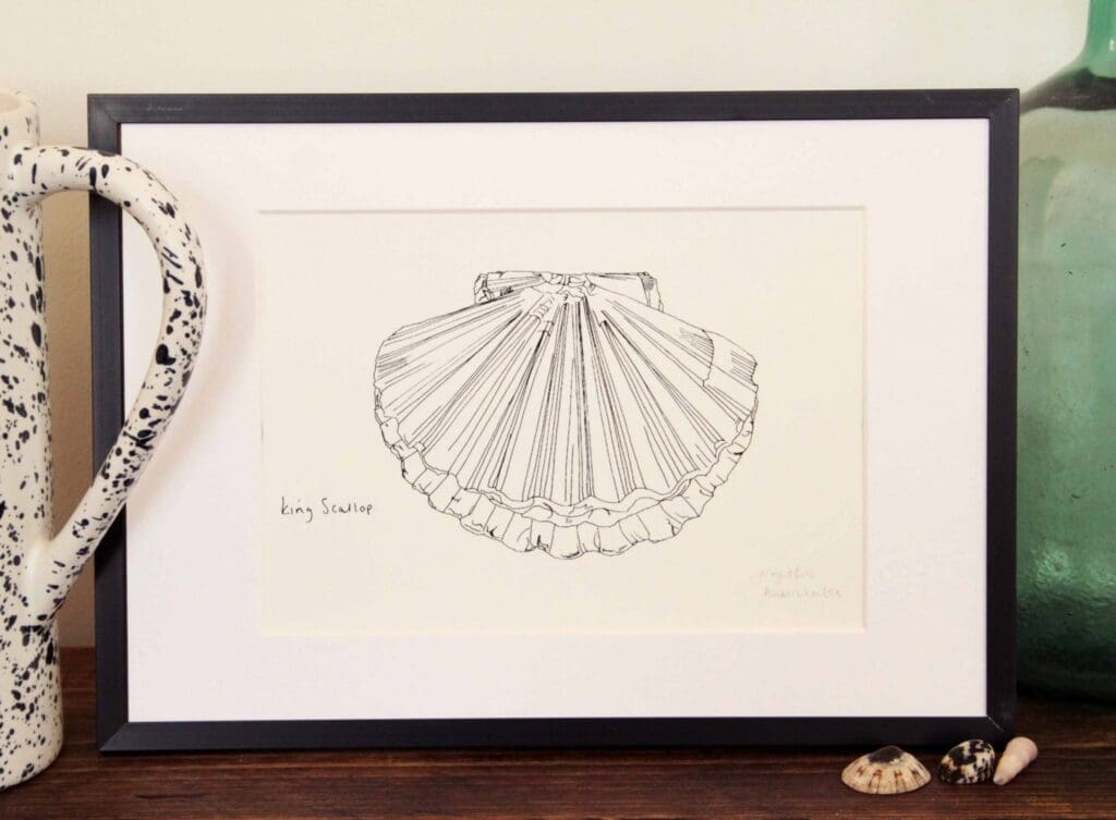 Little Scallop print