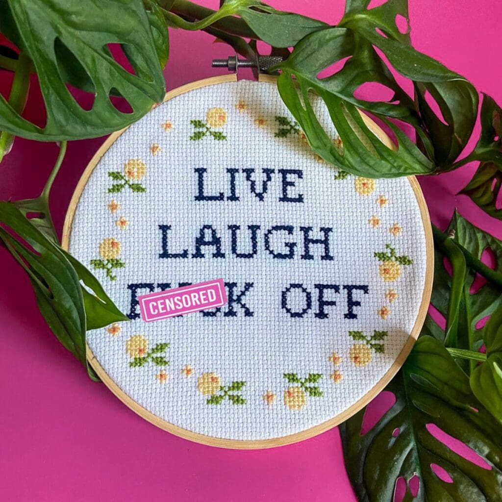 Shake Your Meds Cross Stitch Kit